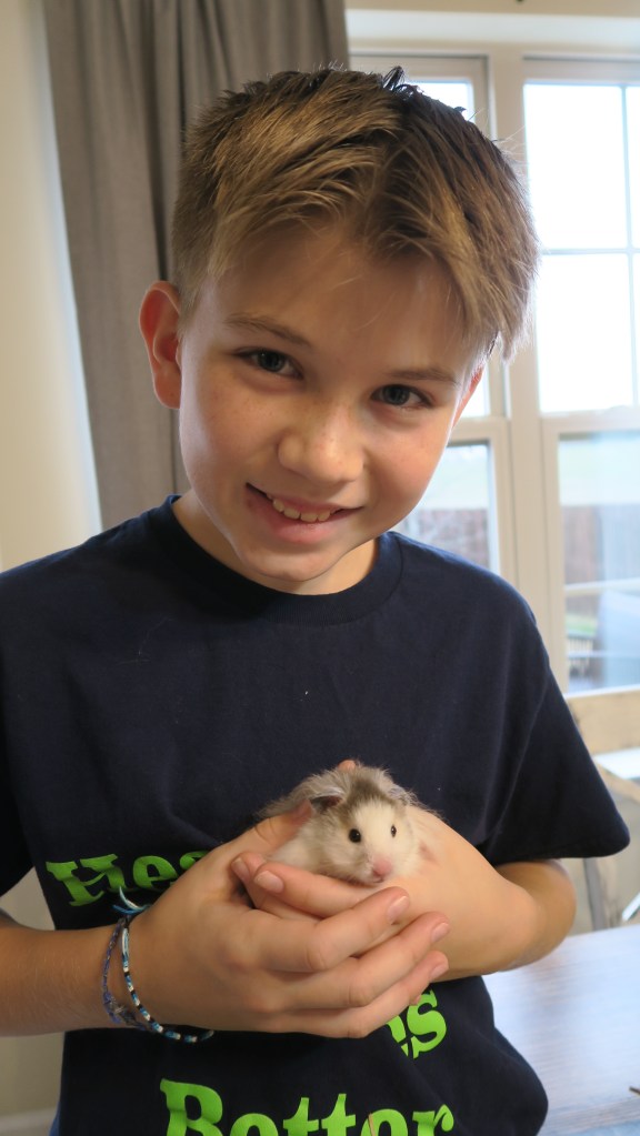 Dear Jack: Our New Hamster, Snowball! | Family Friendly Daddy Blog