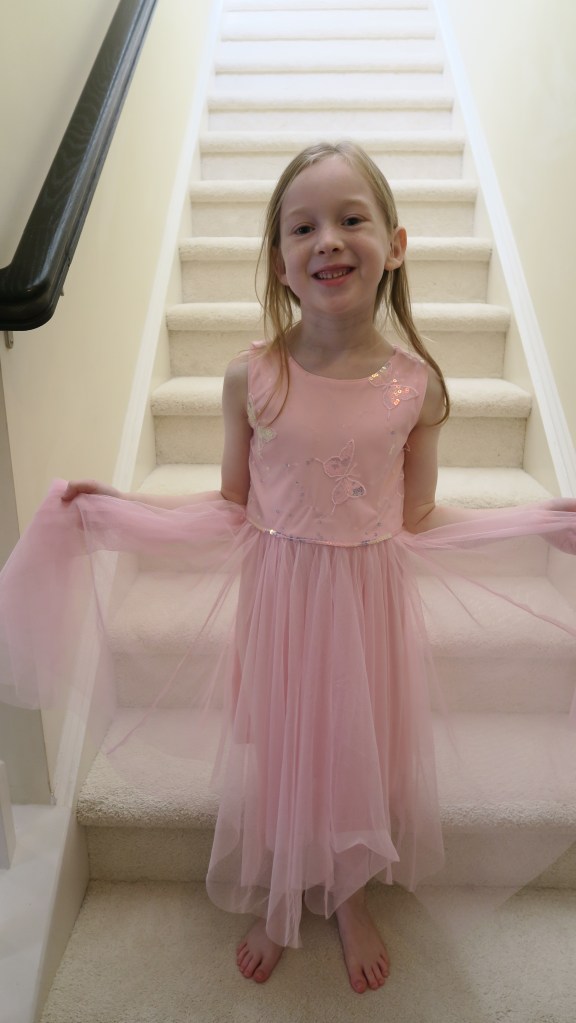 Dear Holly: Walking You to School in Your Princess Dress | Family ...