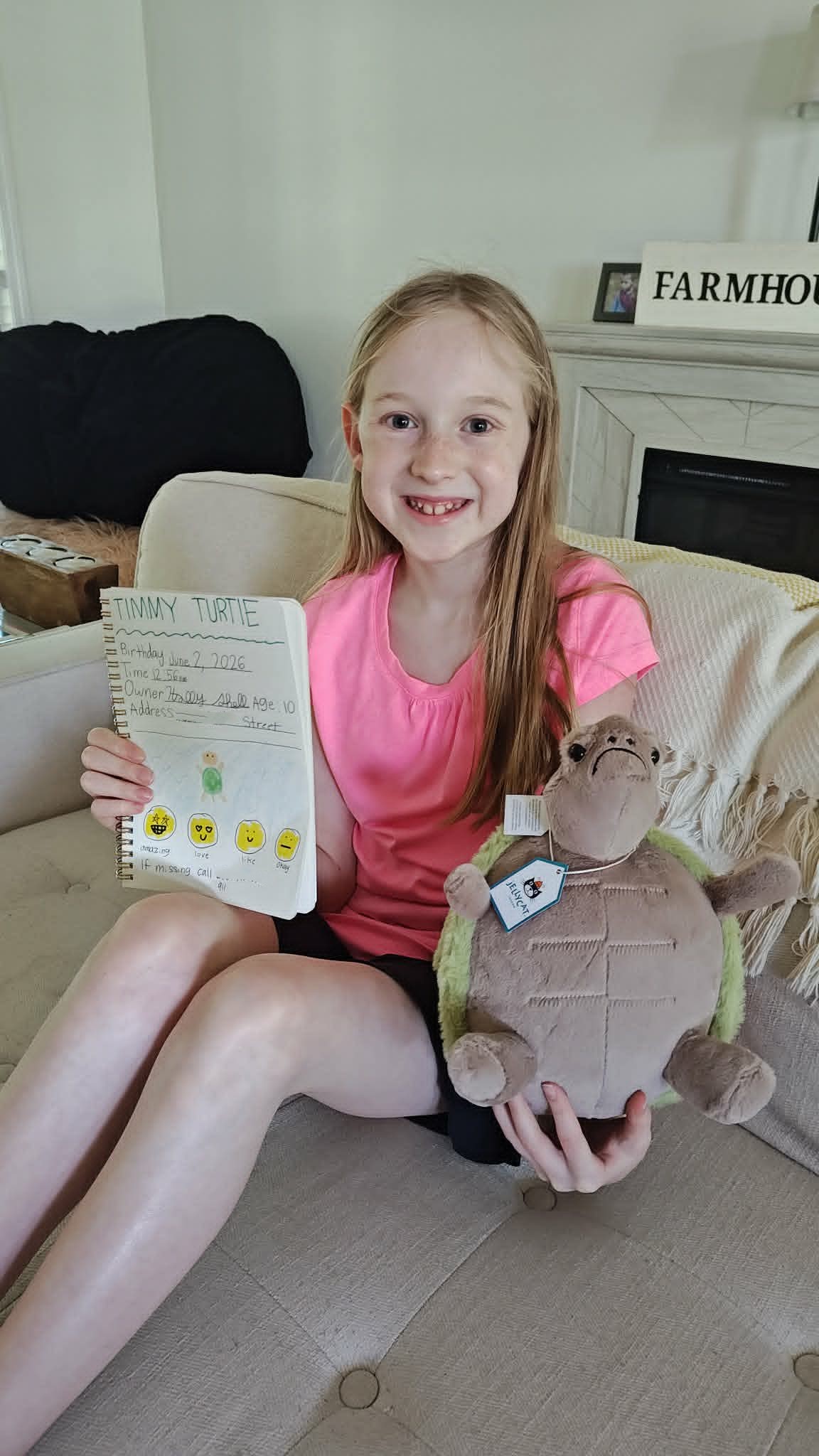 Dear Holly: Timmy Turtle the Jellycat | Family Friendly Daddy Blog